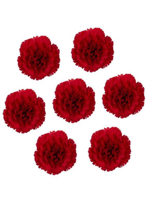 Carnation Bush W/7 Flower Red - 16